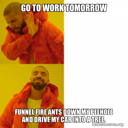 Go to work tomorrow Funnel fire ants down my peehole and drive my car ...