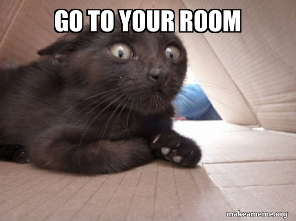 go to your room - Schitzo Cat Meme Generator