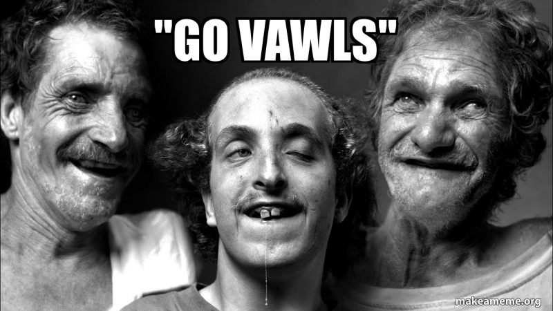 "GO VAWLS" Meme Generator