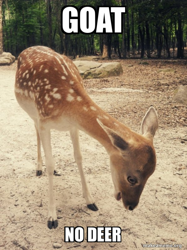 Goat No deer - O M G Deer Meme Generator