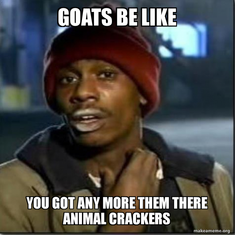 Goats be like You got any more them there animal crackers Meme Generator