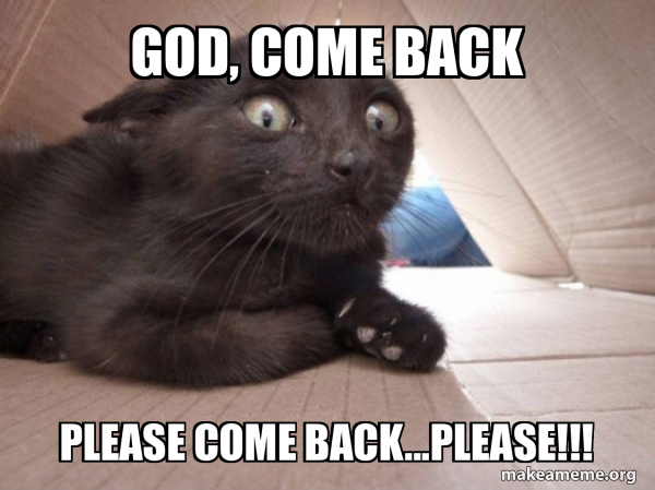 God, come back PLEASE COME BACK...PLEASE!!! - Schitzo Cat Meme Generator