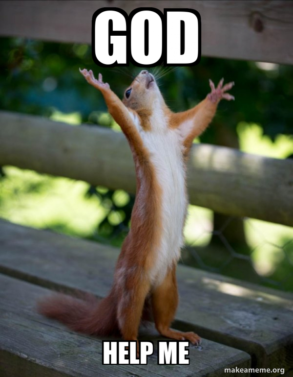 GOD HELP ME - Happy Squirrel Meme Generator