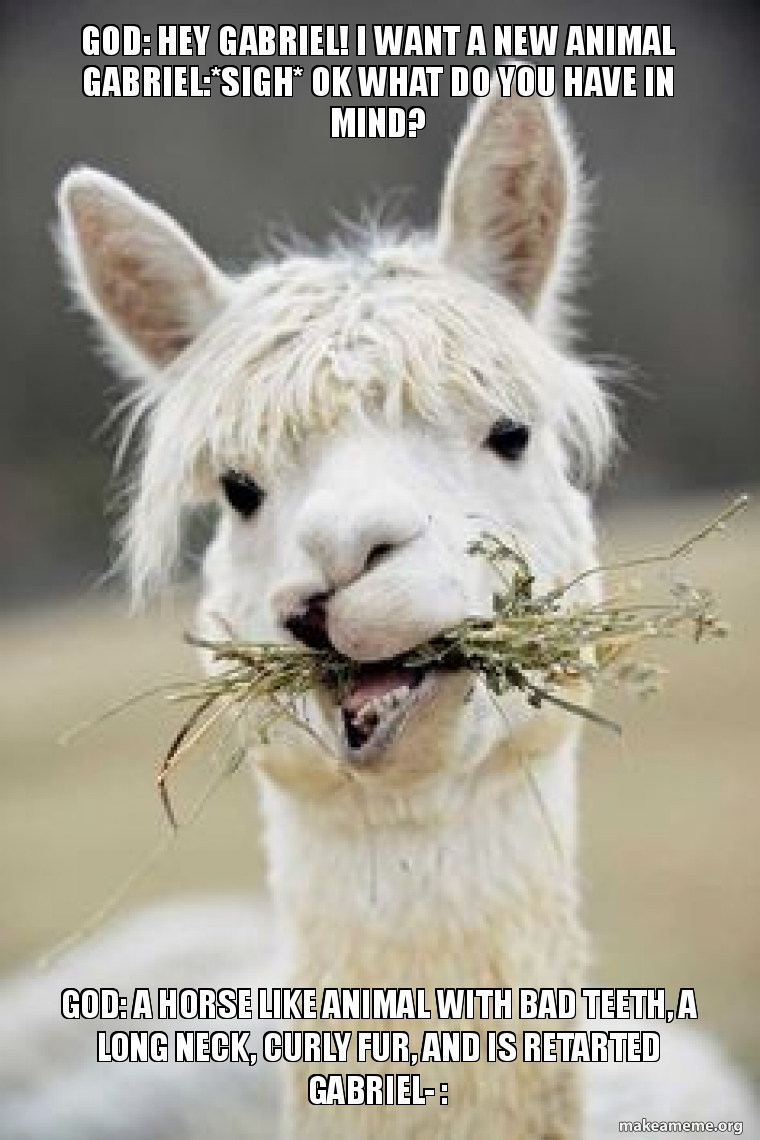 God: Hey gabriel! i want a new animal Gabriel:*sigh* Ok what do you ...
