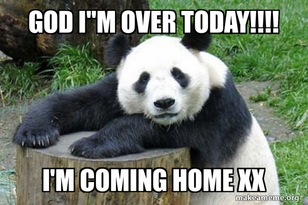 GOD I"M OVER TODAY!!!! I'M COMING HOME xx - Confession Panda Meme Generator
