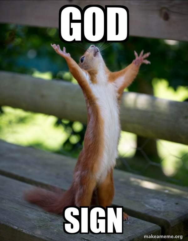 GOD SIGN - Happy Squirrel Meme Generator