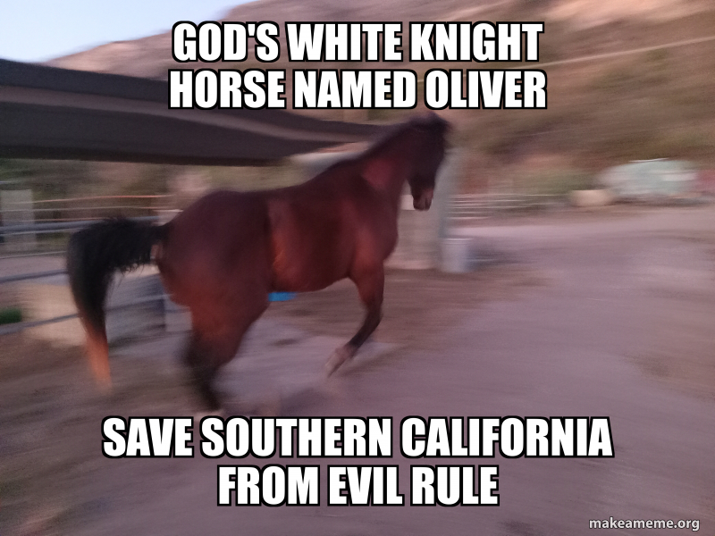 GOD'S WHITE knight Horse named oliver Save southern California from ...