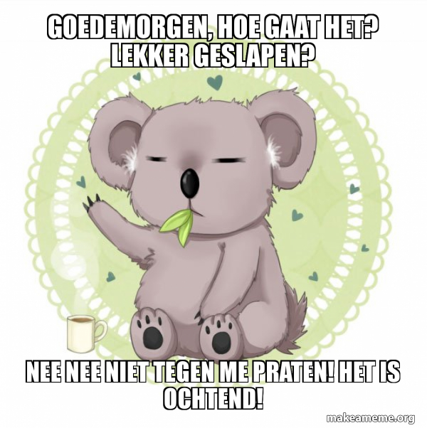 Hoe Gaat Het Meme