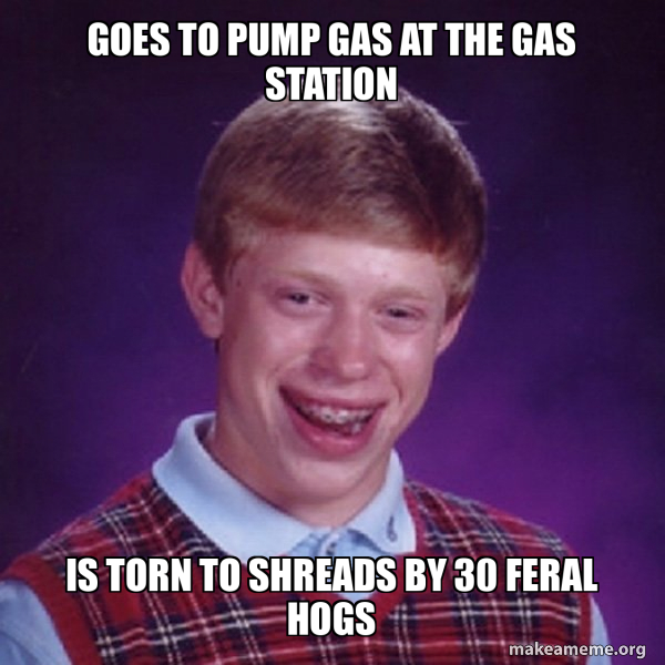 goes to pump gas at the gas station is torn to shreads by 30 feral hogs ...
