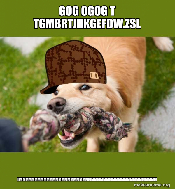 gog ogog t tgmbrtjhkgefdw.zsl ...