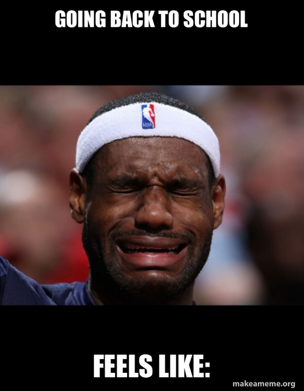 going back to school feels like: - Lebron Crying Meme Generator