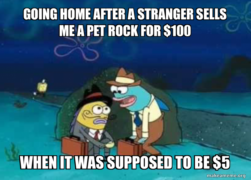 going home after a stranger sells me a pet rock for $100 When it was ...