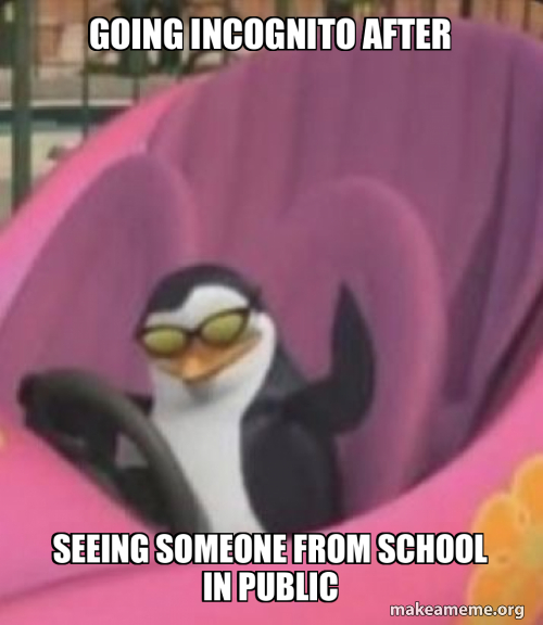 Going incognito After Seeing someone from school in public Meme Generator
