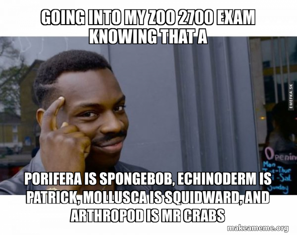 Going into my ZOO 2700 exam knowing that a porifera is spongebob ...