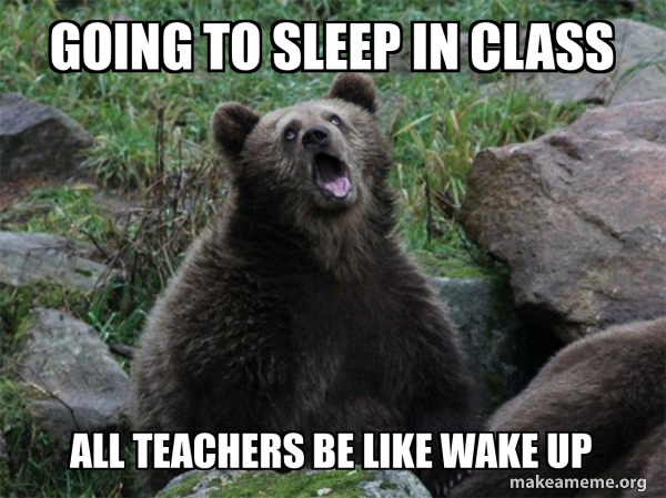 Going to sleep in class All teachers be like WAKE UP - Sarcastic Bear ...