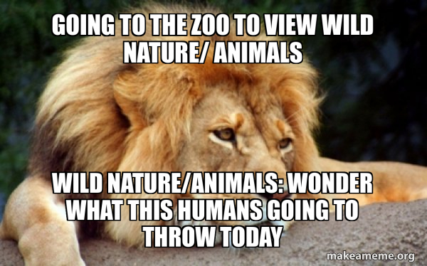 going to the zoo to View wild nature/ animals wild nature/animals ...
