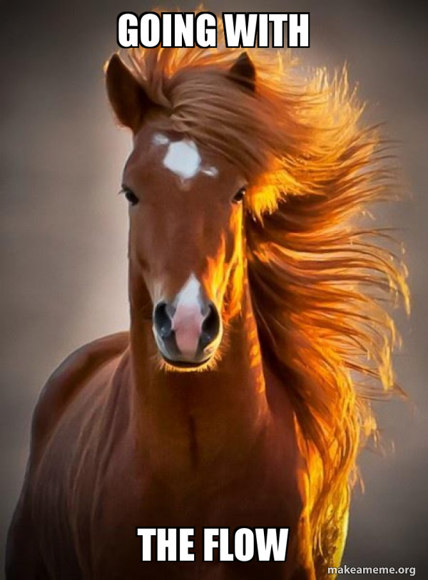 Going with the flow - Ridiculously photogenic horse Meme Generator