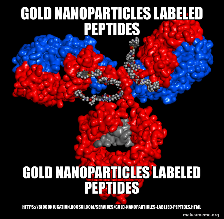 gold nanoparticles labeled peptides gold nanoparticles labeled peptides ...