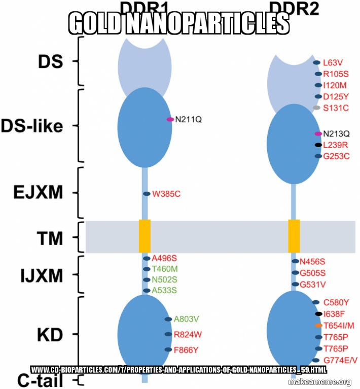 gold nanoparticles www.cd-bioparticles.com/t/Properties-and ...
