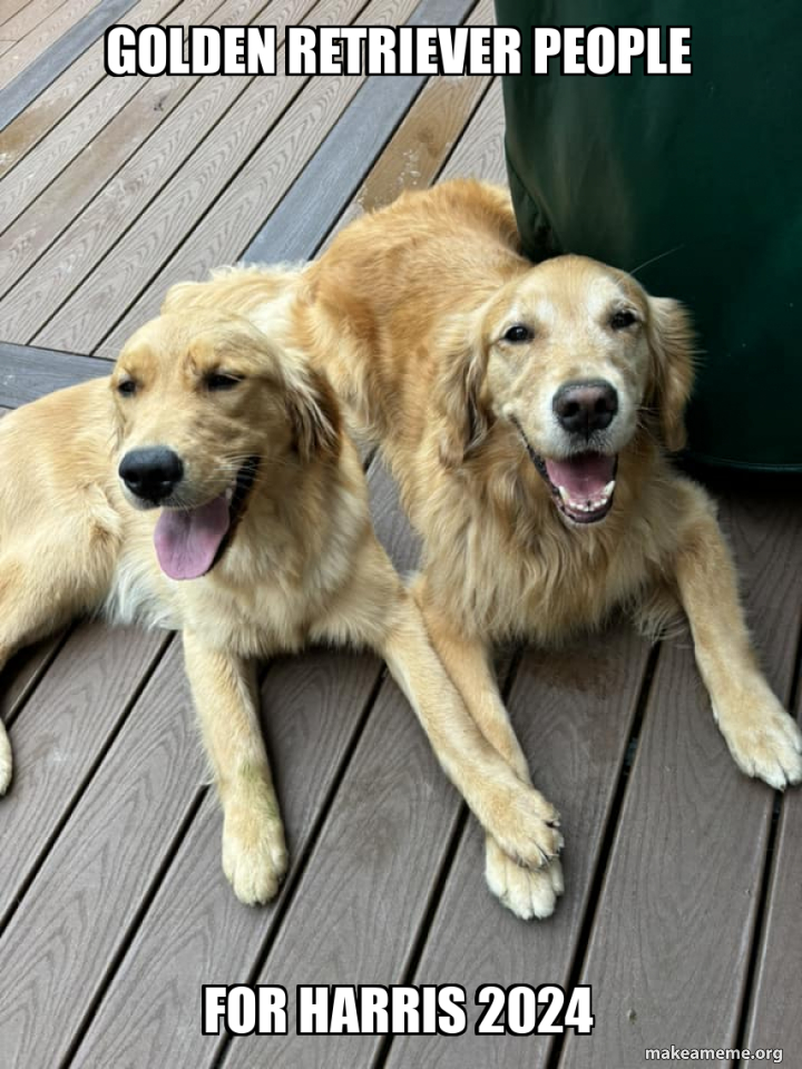 Golden Retriever People For Harris 2024 Meme Generator