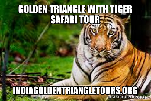 Golden Triangle with Tiger Safari Tour indiagoldentriangletours.org ...
