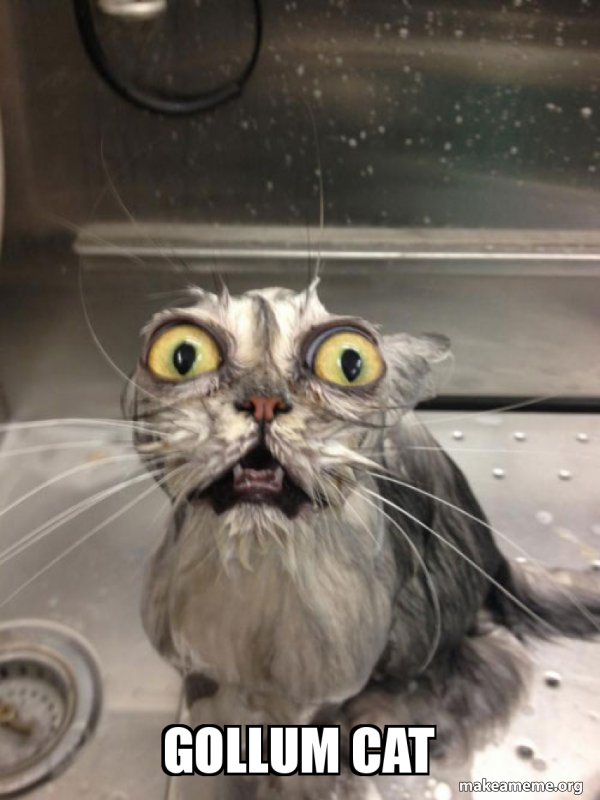 Gollum cat - Cat bath Meme Generator