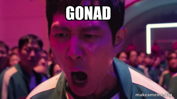 gonad - I've Played These Games Before Meme Generator