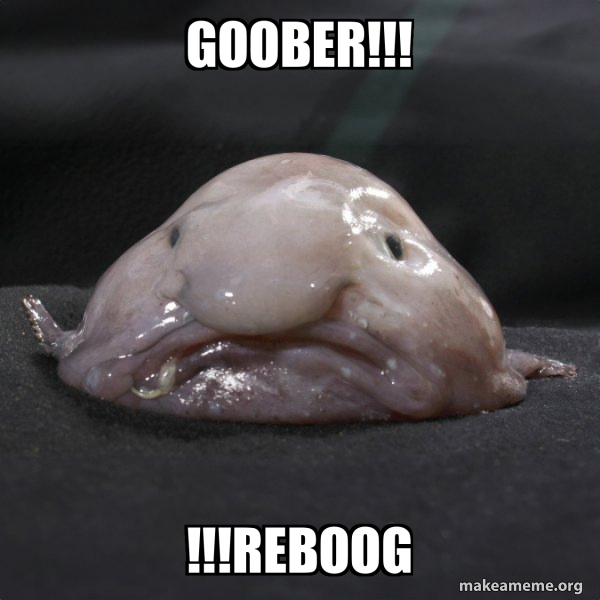 GOOBER!!! !!!REBOOG - Blobfish Meme Generator