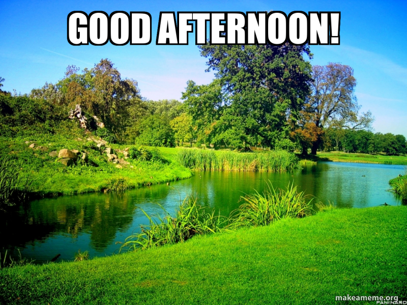 good afternoon! Meme Generator