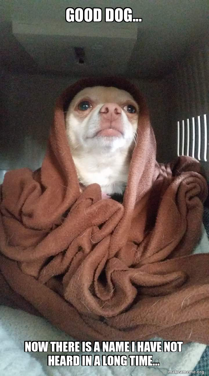 Good Dog... Now there is a name I have not heard in a long time... Meme ...