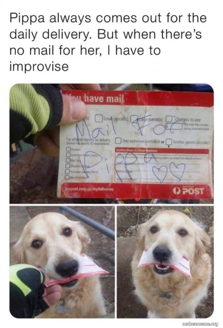 - Good girl Meme Generator