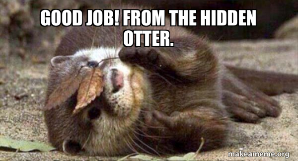 good Job! from the hidden otter. Meme Generator