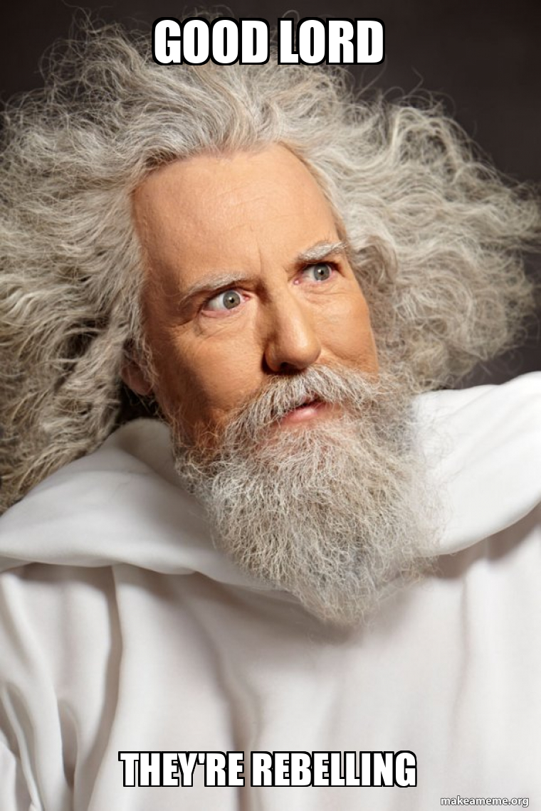 good lord they're rebelling - Tweet of God Meme Generator