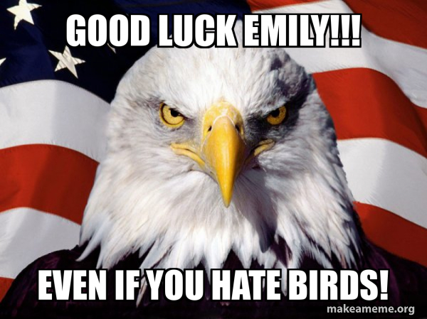 GOOD LUCK EMILY!!! EVEN IF YOU HATE BIRDS! - American Pride Eagle Meme ...