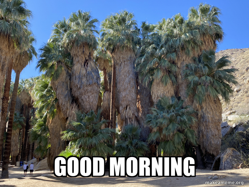 Good morning Meme Generator