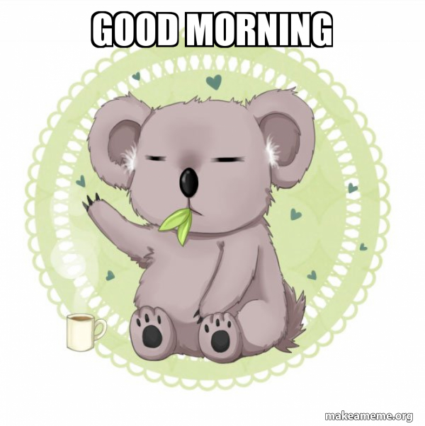 Good morning - Aussie Koala doing the night shift Meme Generator