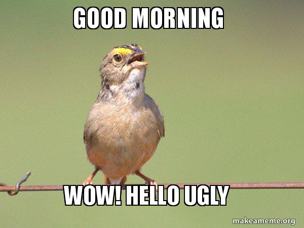 Ugly Good Morning Memes