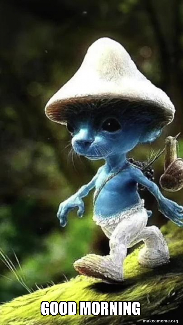 good morning Meme Generator