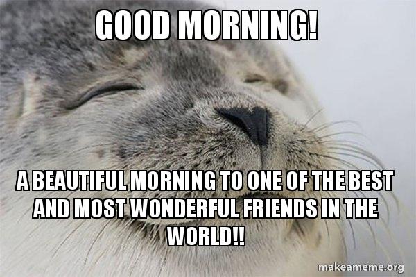 Beautiful Morning Meme 40 Best Have A Great Day Memes | Reader's
