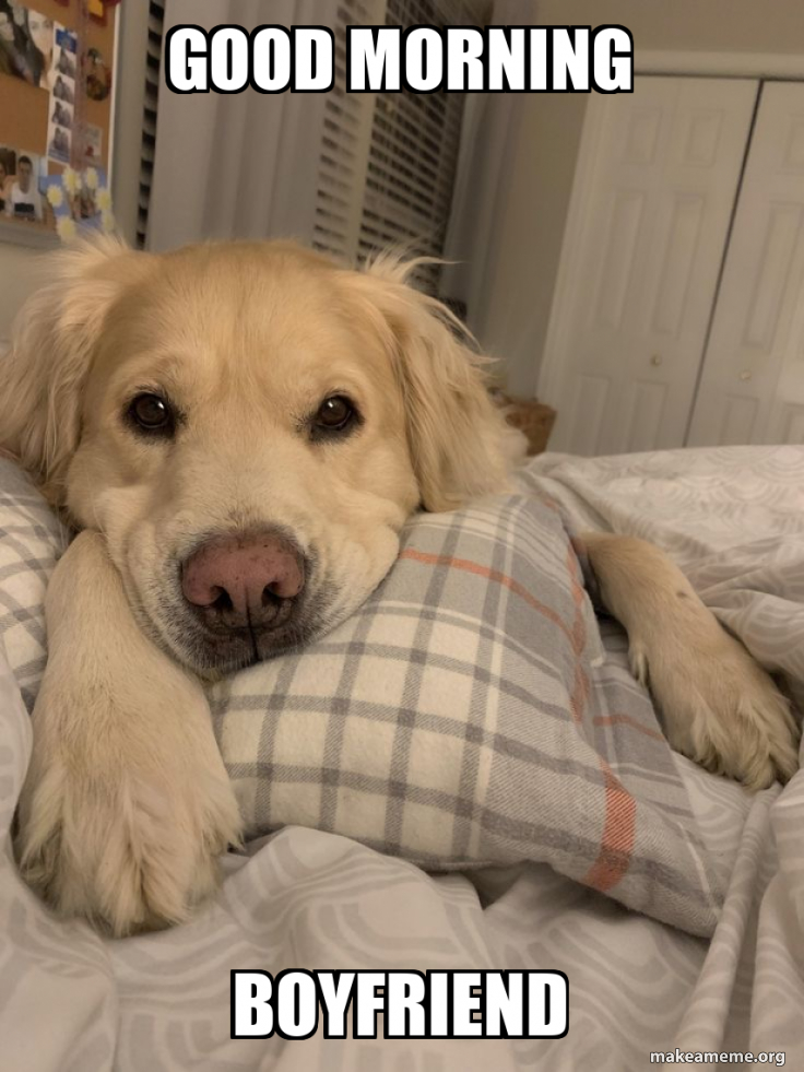 GOOD MORNING BOYFRIEND Meme Generator