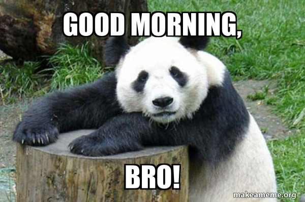 Good morning, Bro! - Confession Panda Meme Generator