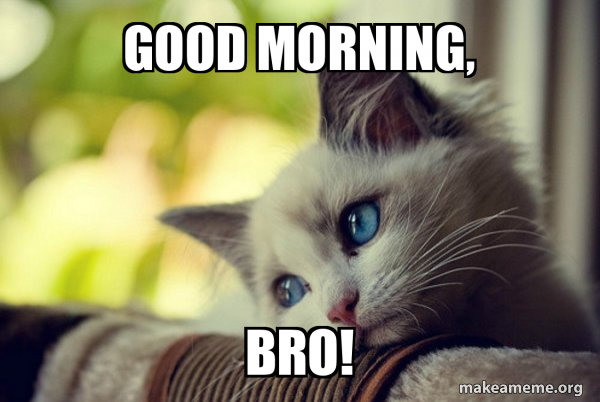 Good morning, Bro! - First World Cat Problems Meme Generator