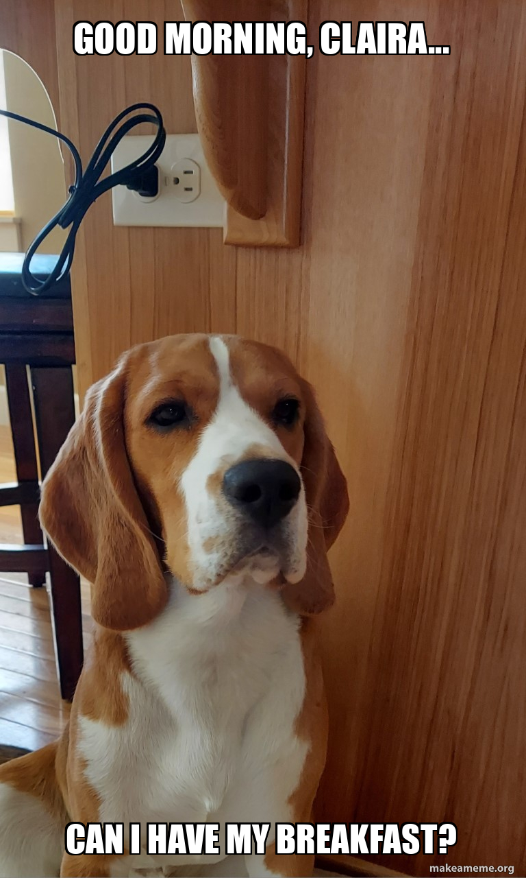 Good morning, Claira... Can I have my breakfast? Meme Generator