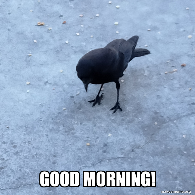 Good morning! Meme Generator