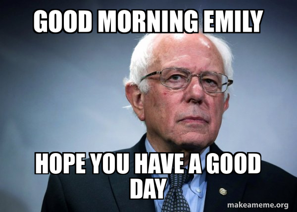 good morning Emily hope you have a good day - Bernie Sanders Meme Generator