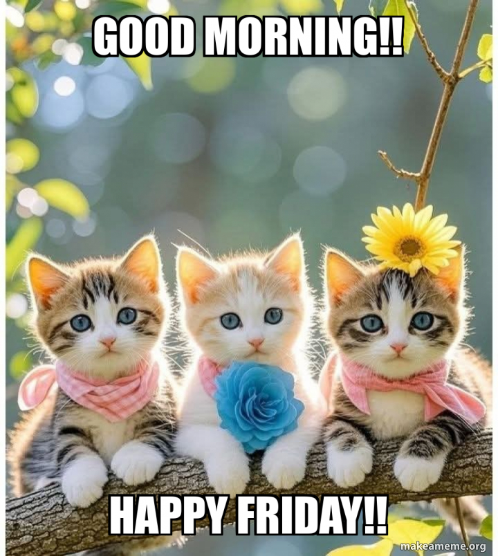 Good morning!! Happy Friday!! Meme Generator