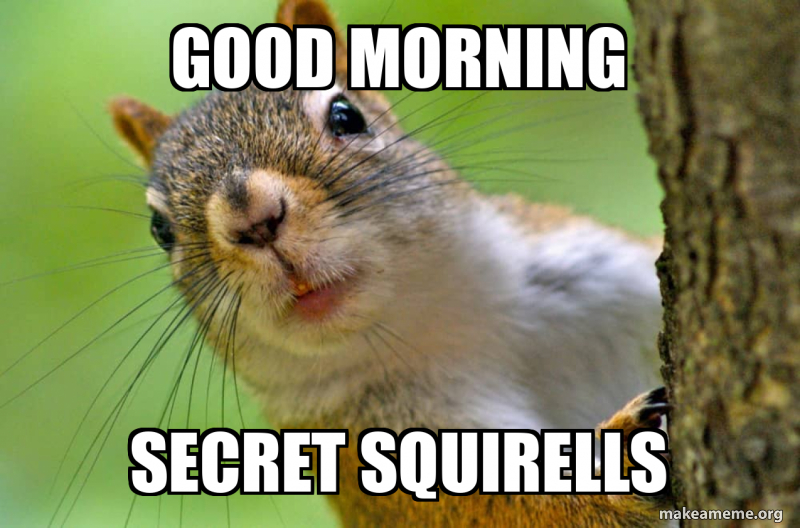 Good Morning Secret Squirells Meme Generator