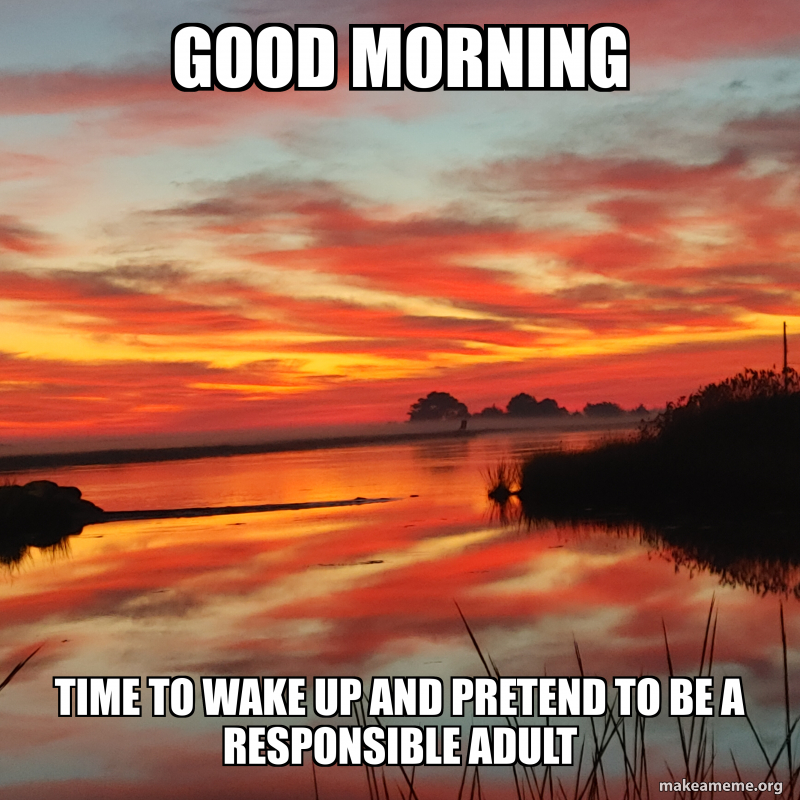 Good Morning Time to wake up and pretend to be a responsible adult Meme ...
