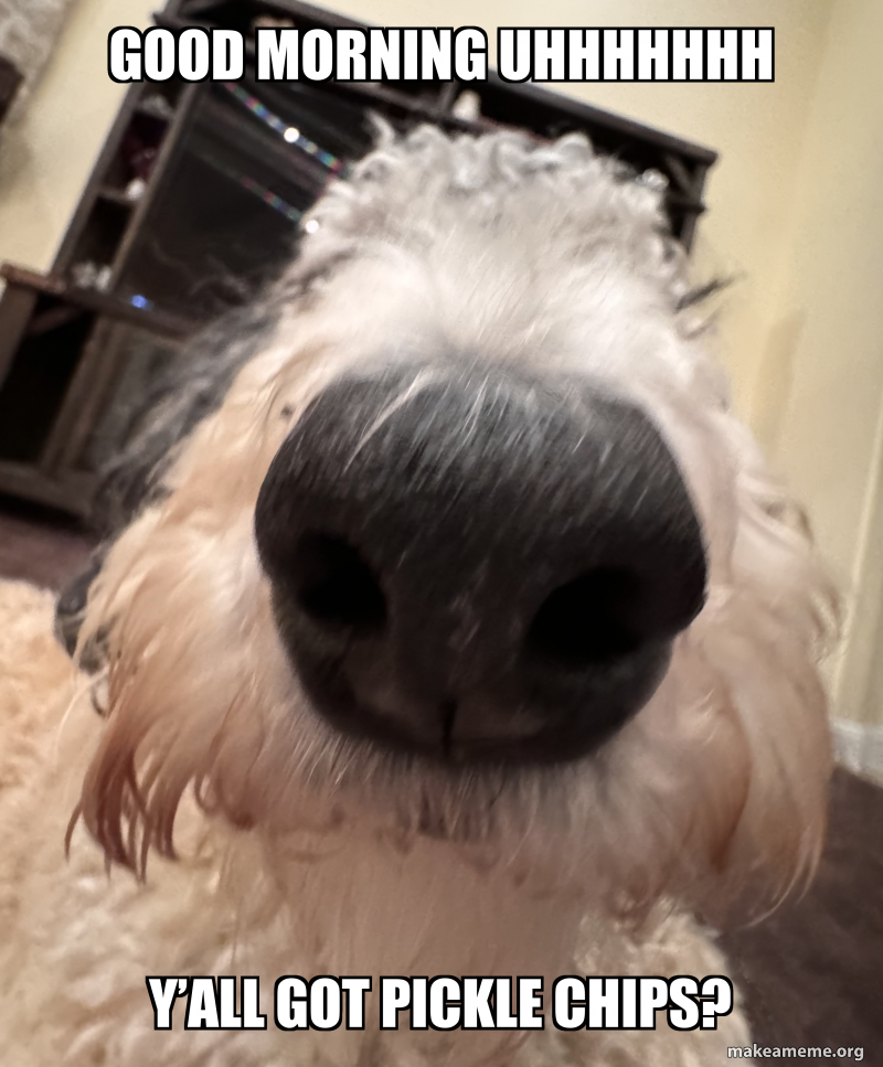 good morning uhhhhhhh y’all got pickle chips? Meme Generator