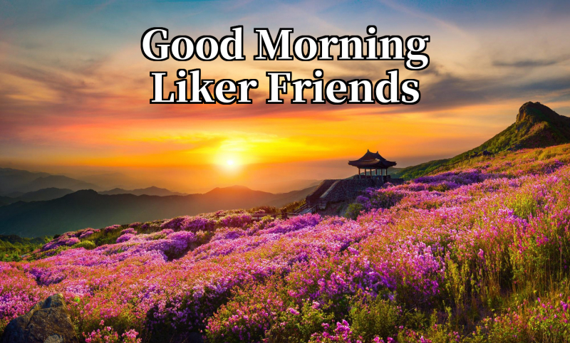 Good Morning Liker Friends Meme Generator